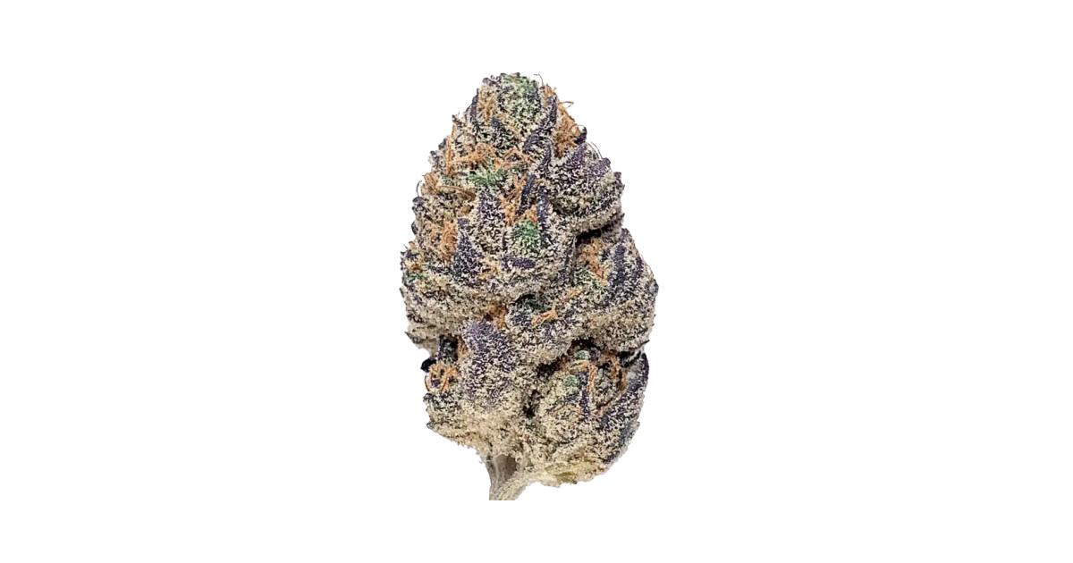 Acai Berry Gelato Cannabis Strain Information - GrowDiaries