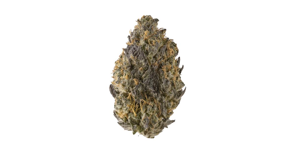 Strawberry Blonde Cannabis Strain Information - GrowDiaries