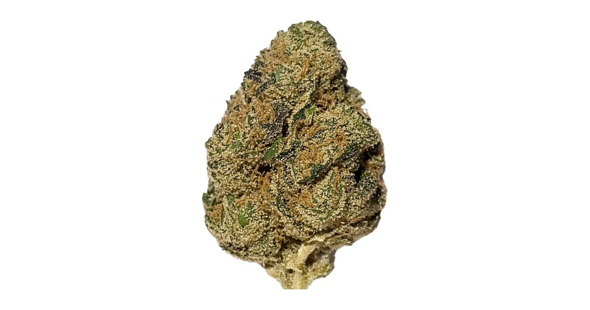 Chile Verde Cannabis Strain Information - GrowDiaries