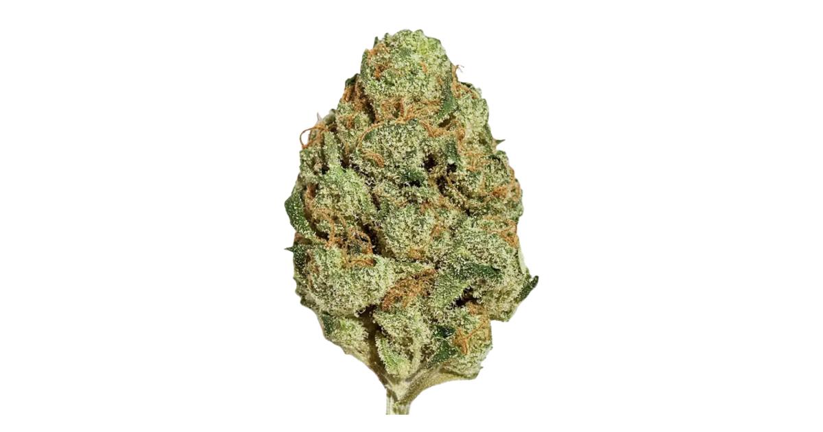 Slurty3 Cannabis Strain Information - GrowDiaries
