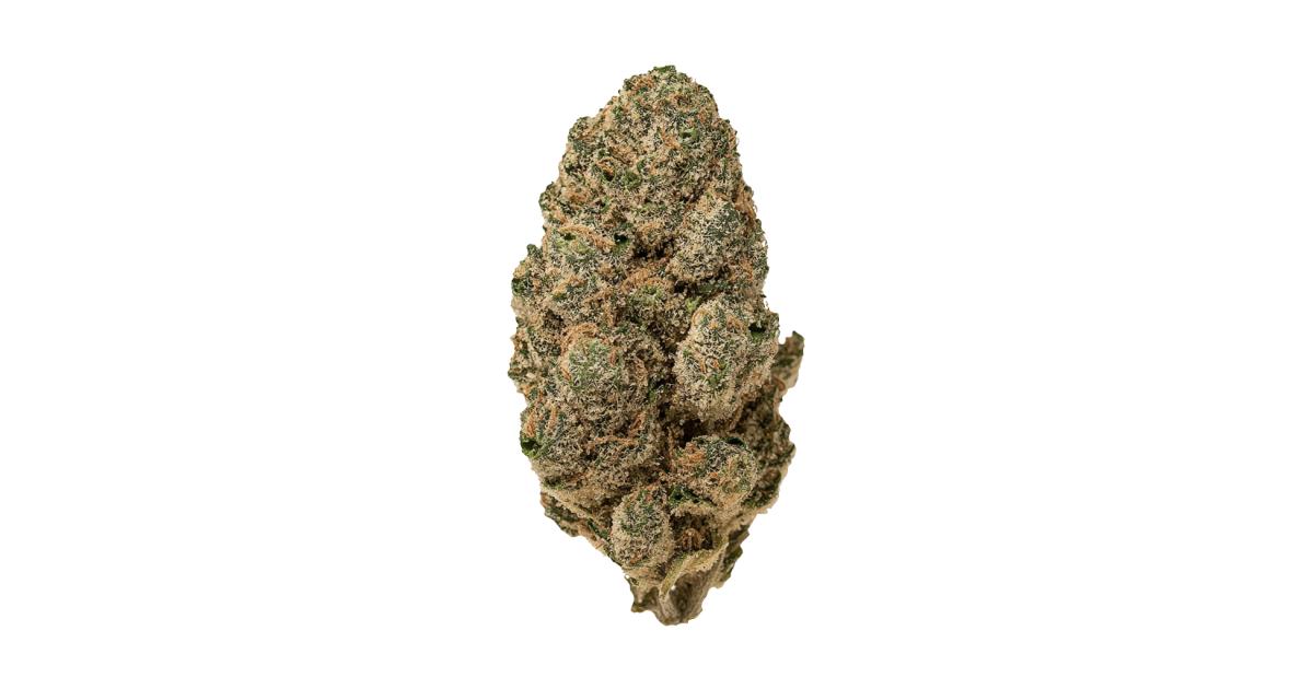 Garlic Breath Cannabis Strain Information - GrowDiaries