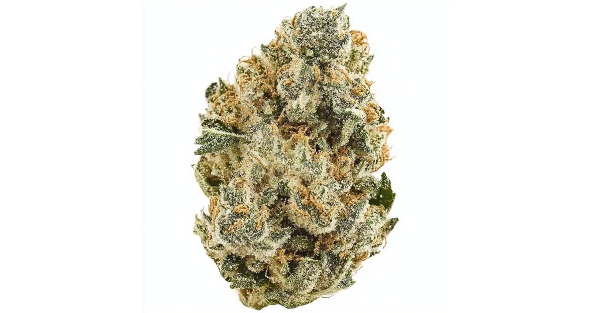 Strawberry Guava Cannabis Strain Information - GrowDiaries