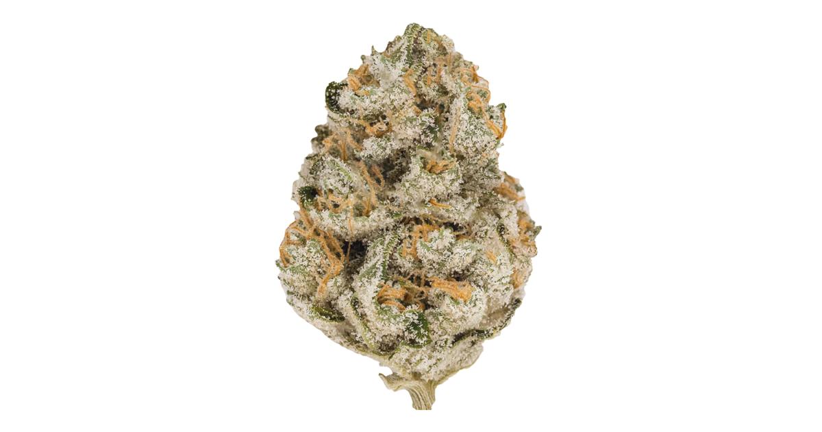 Watermelon Gelato Cannabis Strain Information - GrowDiaries