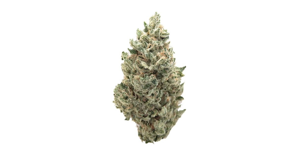 California Sour Diesel Cannabis Strain Information - Grow...