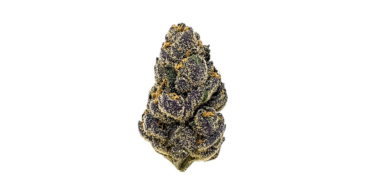 Purple Gelato Cannabis Strain Harvests - GrowDiaries
