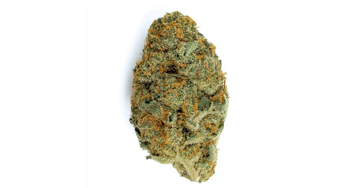 California Orange Cannabis Strain Info - GrowDiaries