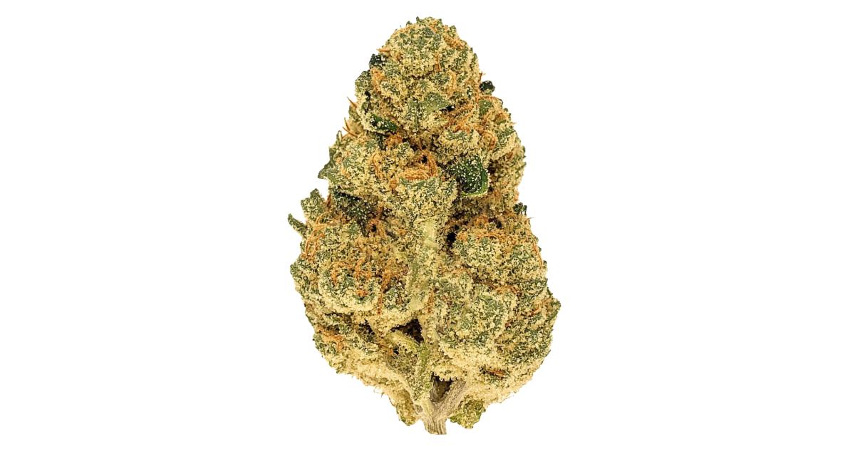 Blueberry Pancakes Cannabis Strain Diaries - GrowDiaries