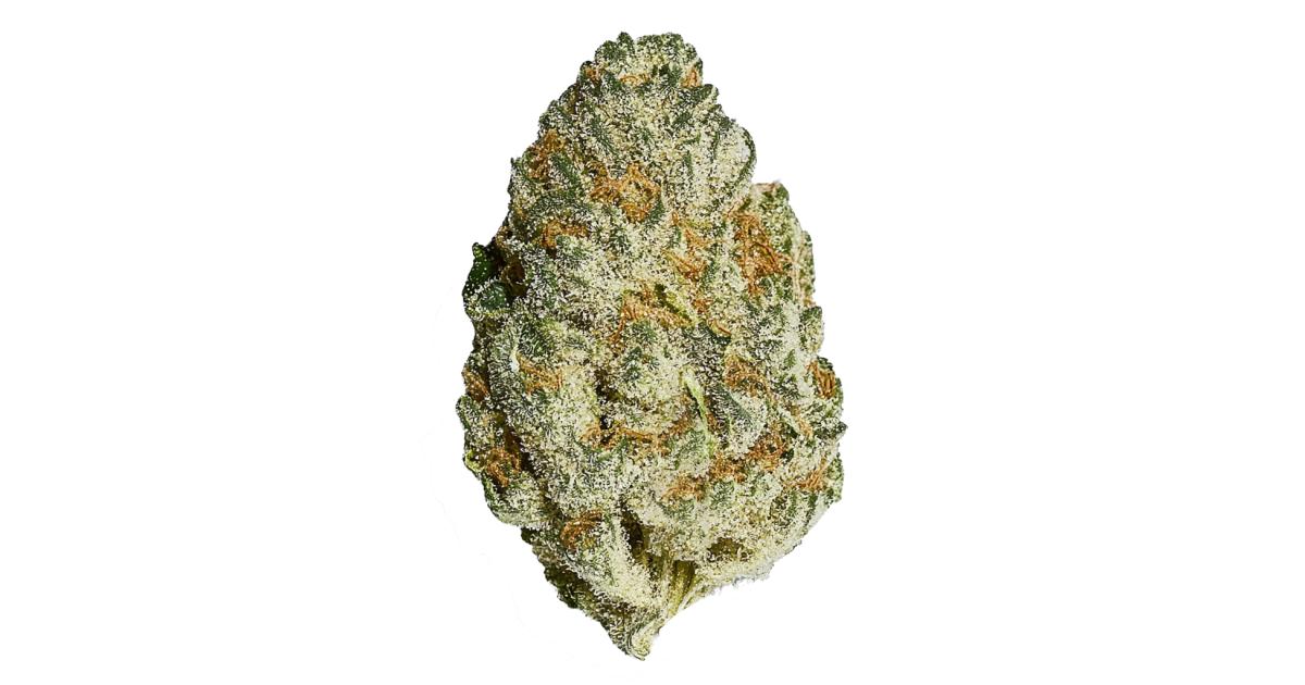 Pablos Revenge Cannabis Strain Information - GrowDiaries