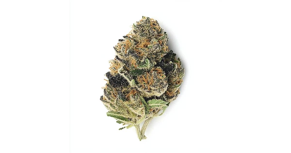 OZ Kush (AKA OZK) Cannabis Strain Info - GrowDiaries