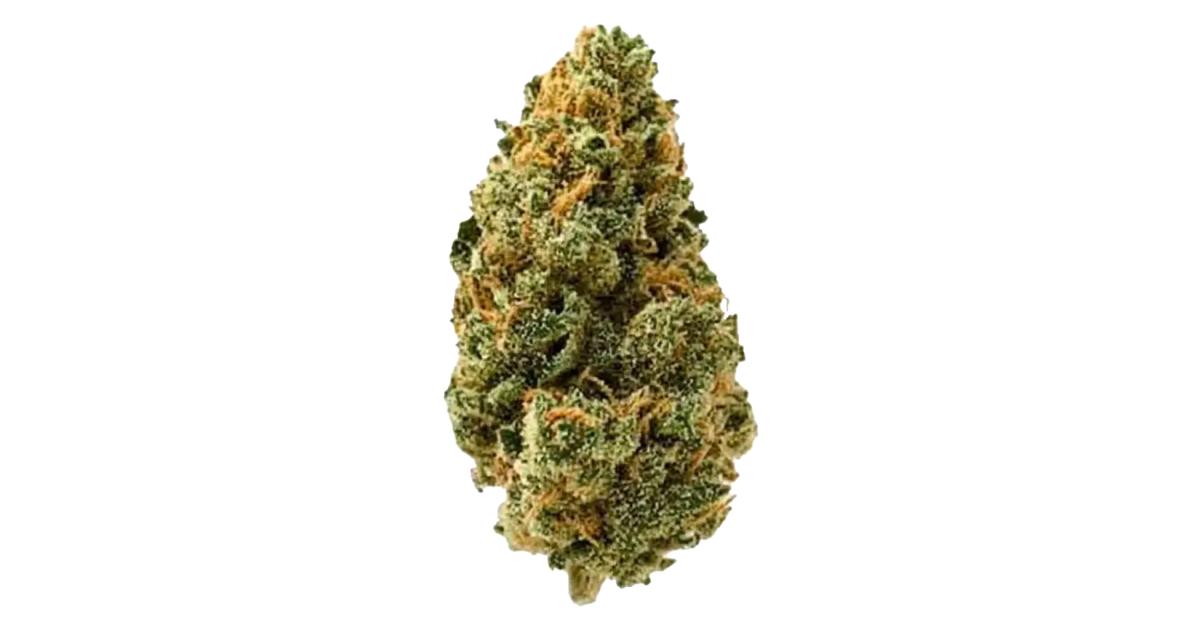Big Bud Cannabis Strain Information - GrowDiaries