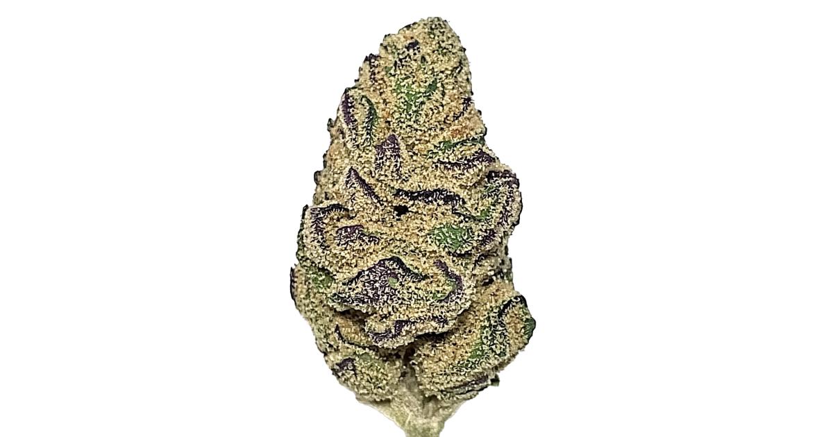 King's OG Cannabis Strain Information - GrowDiaries