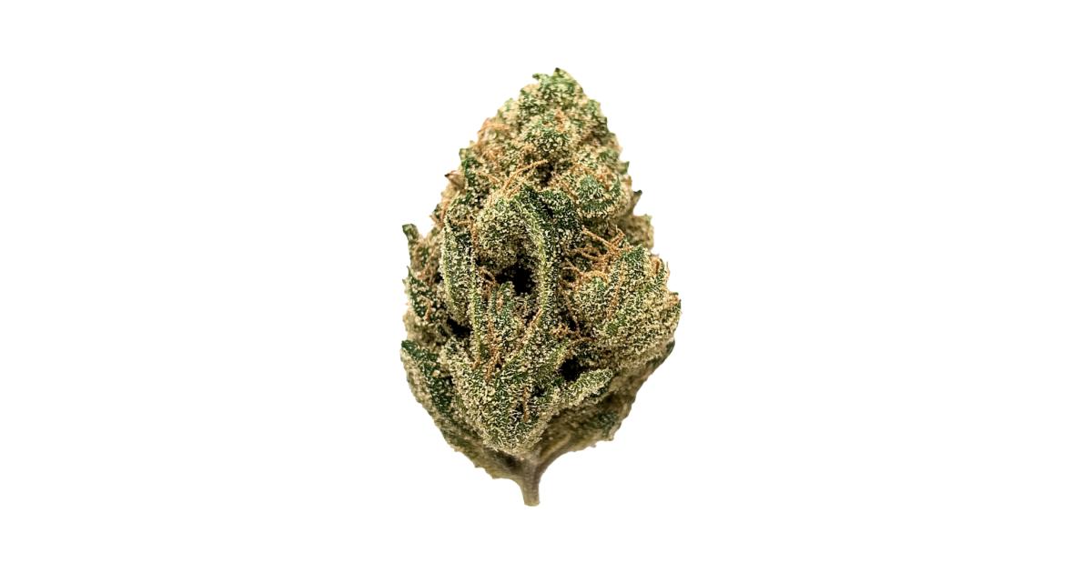 Fatso Cannabis Strain Information - GrowDiaries
