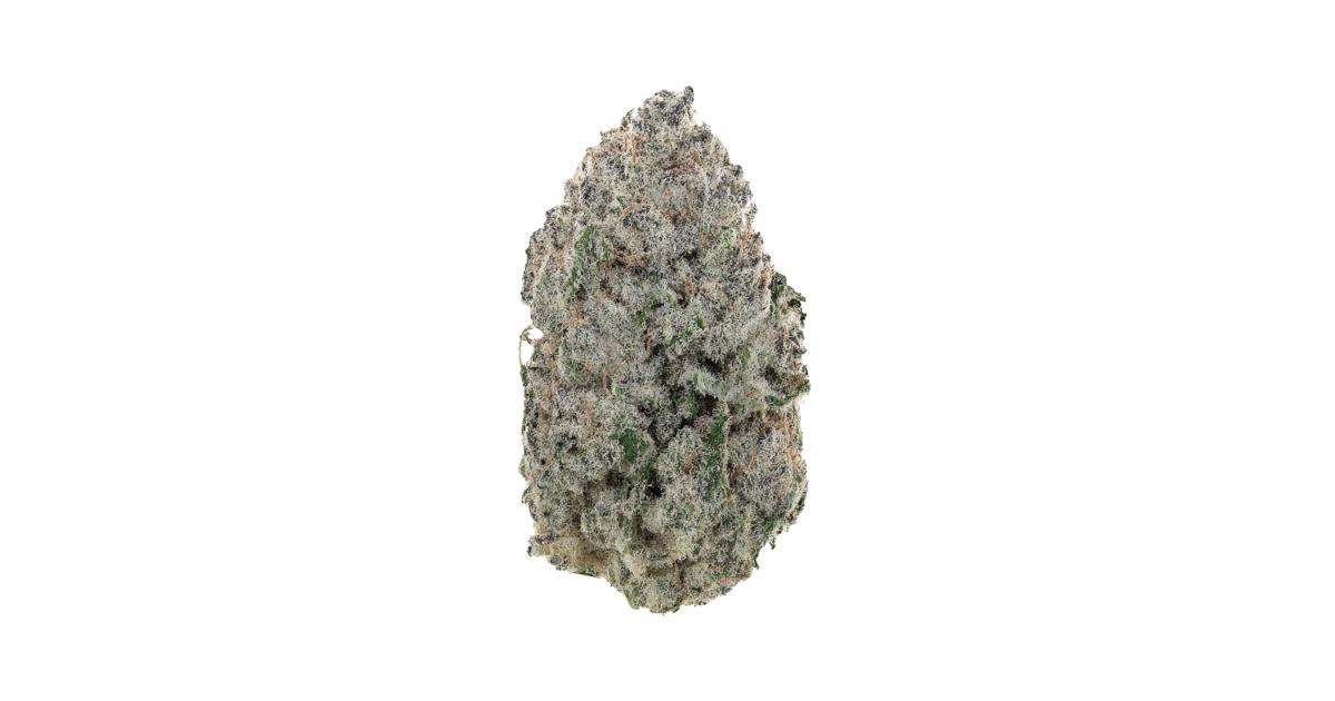 Platinum Dosi Cannabis Strain Information - GrowDiaries