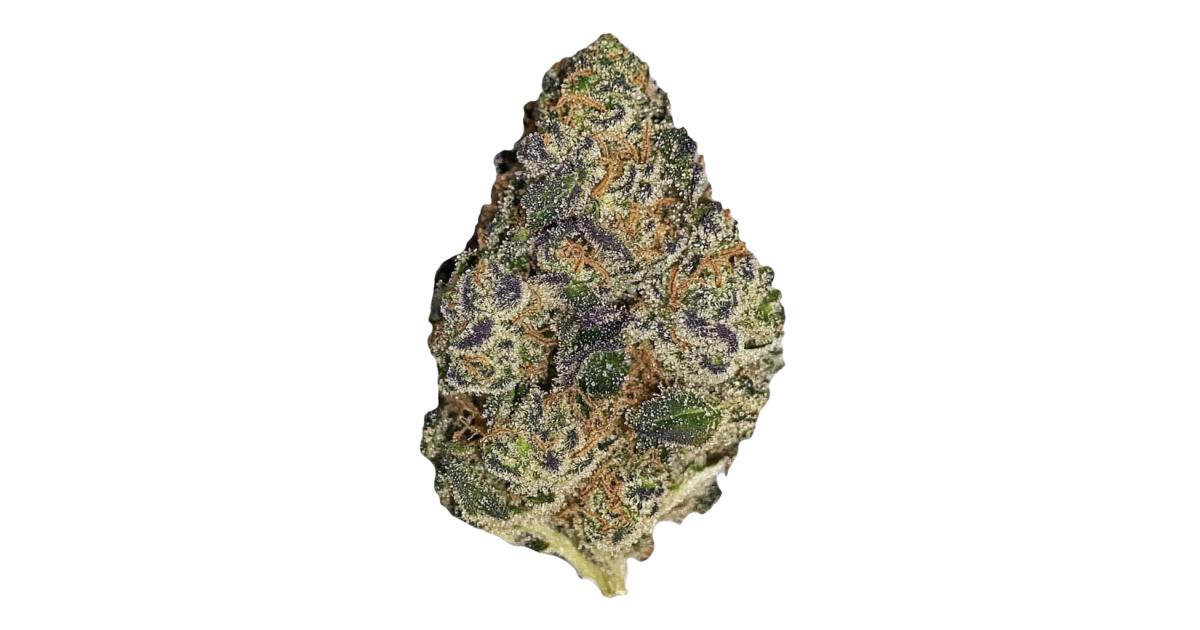 Lemon Gelato Cannabis Strain by Grandiflora Genetics Inf...