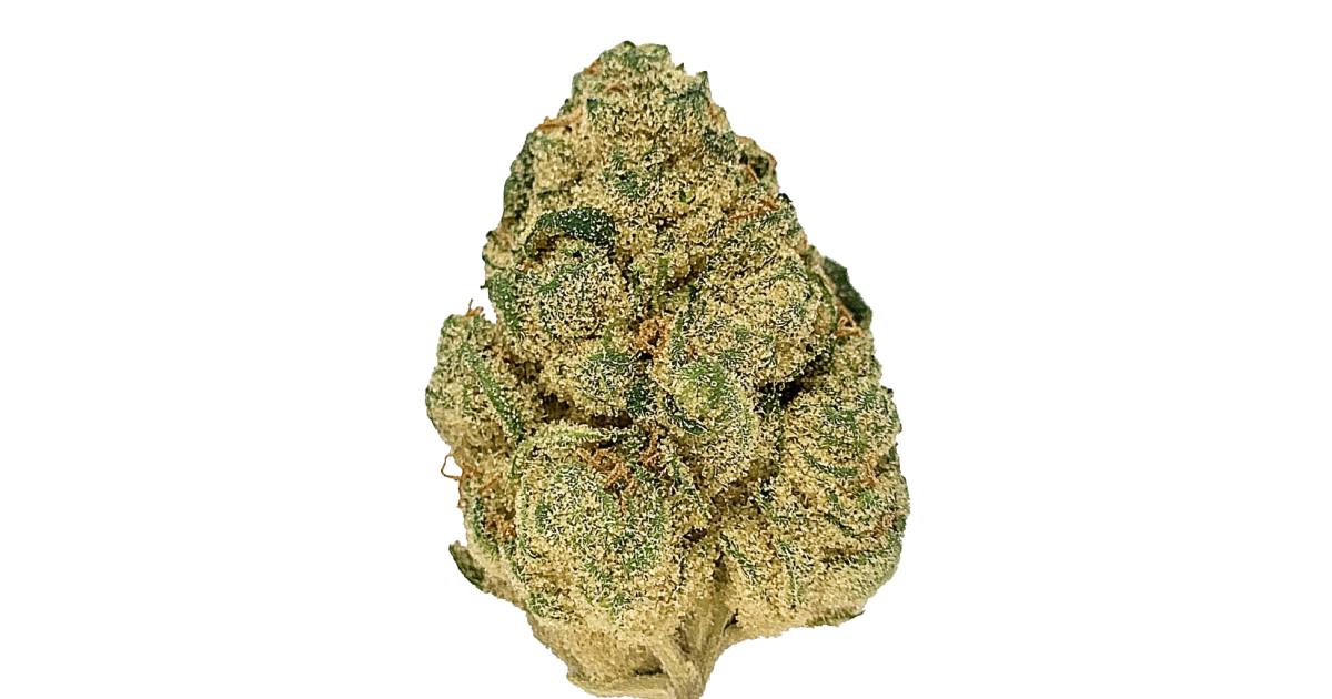 Pineapple Cannabis Strain Info - GrowDiaries