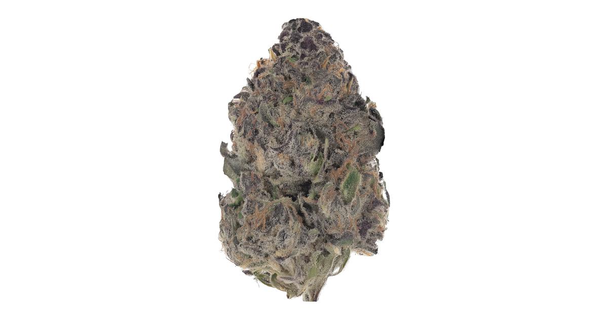 Temple Flo Cannabis Strain Information - GrowDiaries