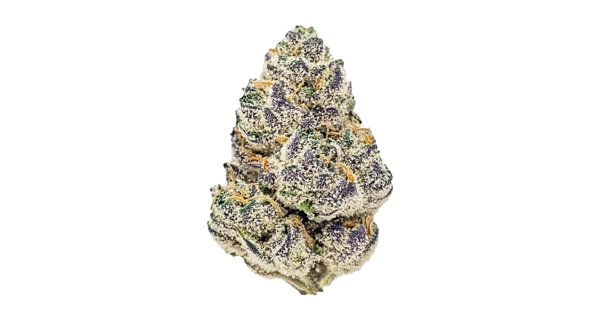Rose Gold Runtz Cannabis Strain Information - GrowDiaries
