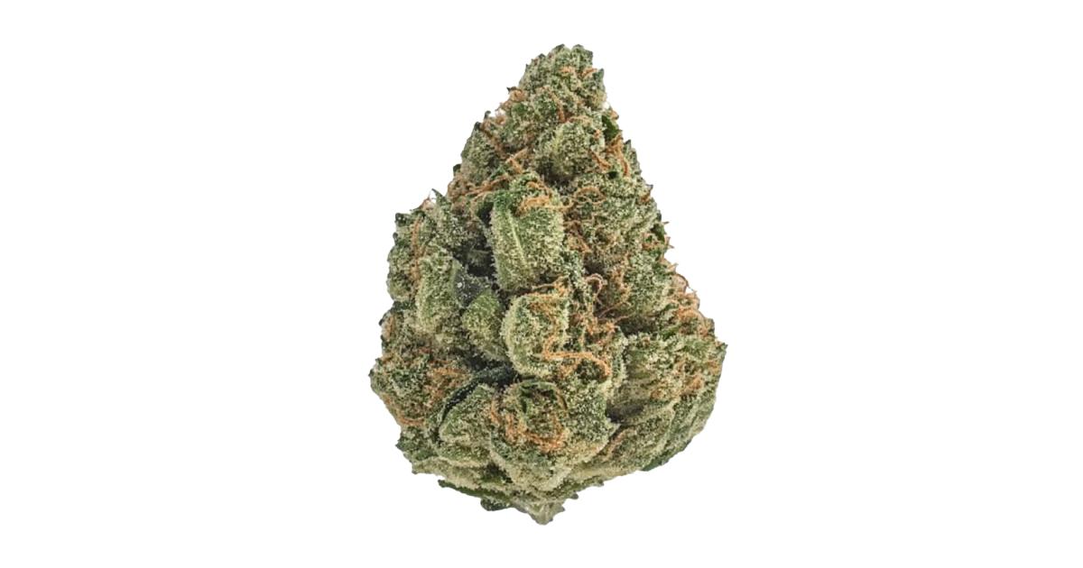 Triple Burger Cannabis Strain Information - GrowDiaries