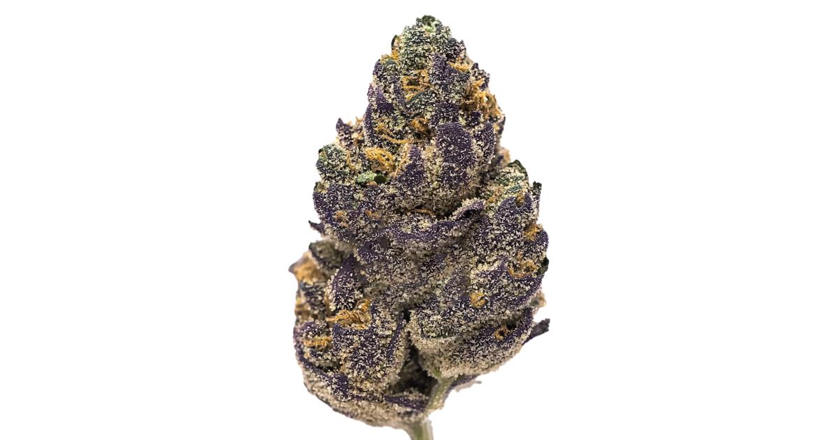 Scooby Snacks Cannabis Strain Diaries - GrowDiaries