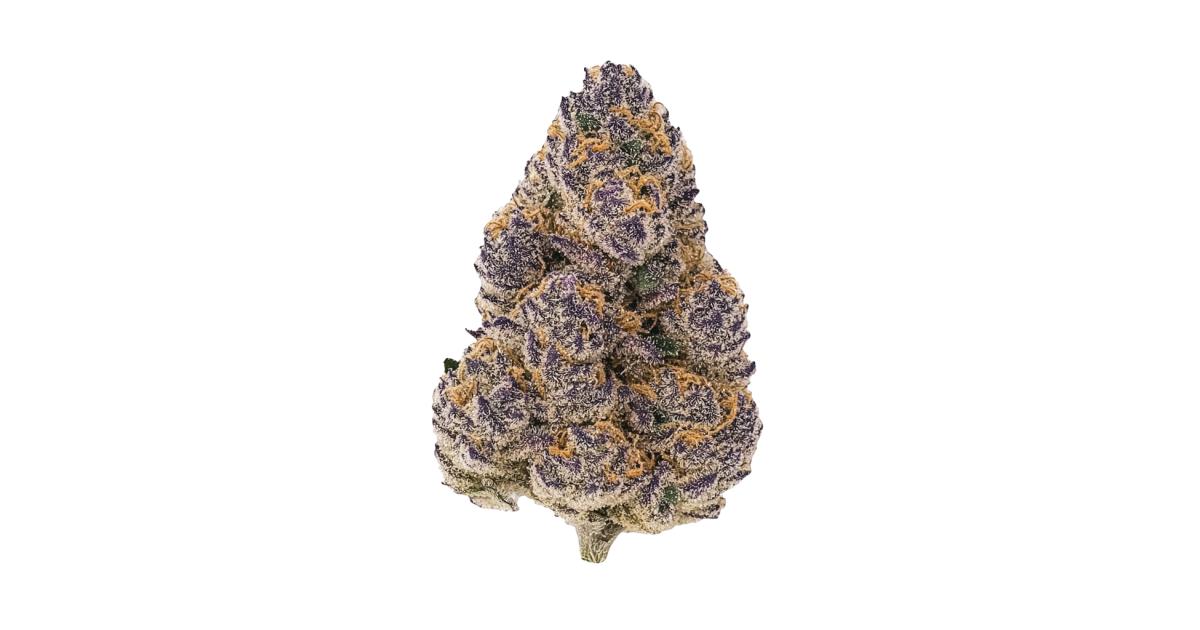 Goofiez Cannabis Strain Information - GrowDiaries