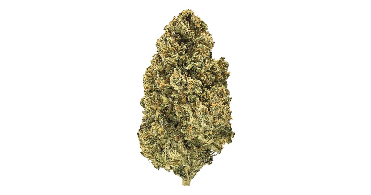 Gammaberry Cannabis Strain Products - GrowDiaries