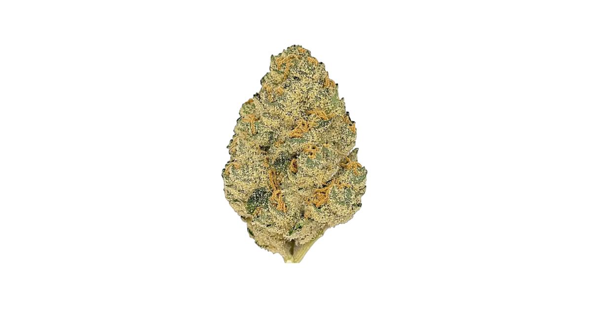 Blueberry Gelato Cannabis Strain Information - GrowDiaries