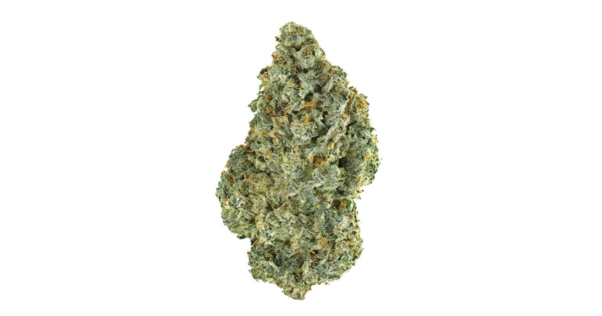 Early Pearl Cannabis Strain Information - GrowDiaries