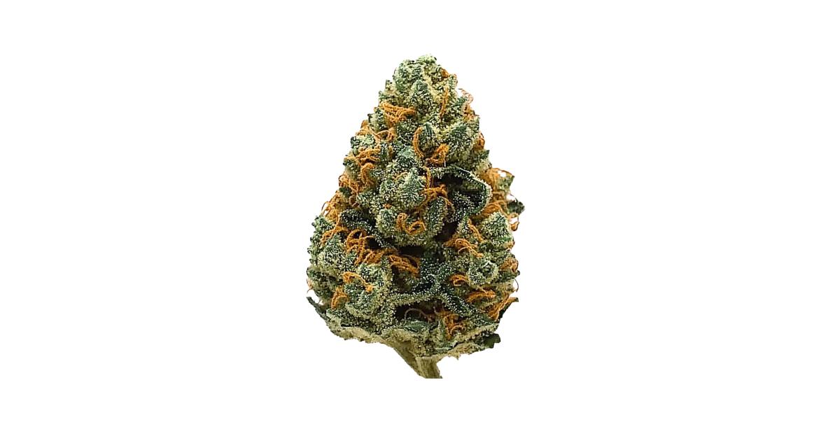 Pink Cookies Cannabis Strain Information - GrowDiaries