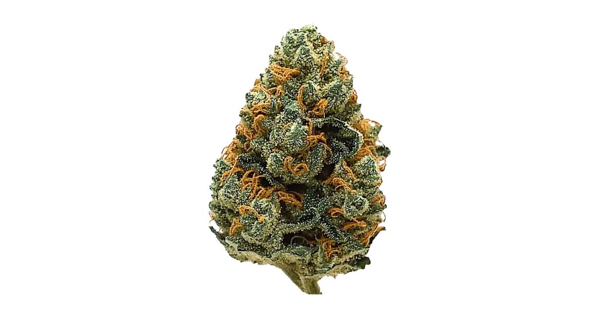 Pink Cookies Cannabis Strain Information - GrowDiaries