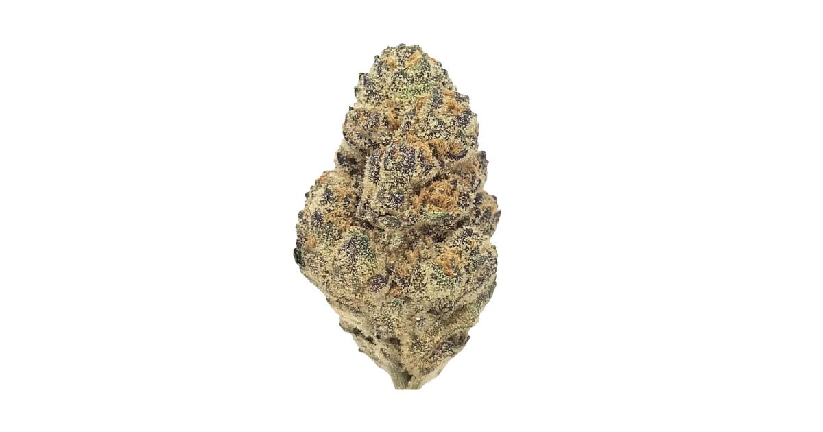 Sugar Cane Cannabis Strain Information - GrowDiaries