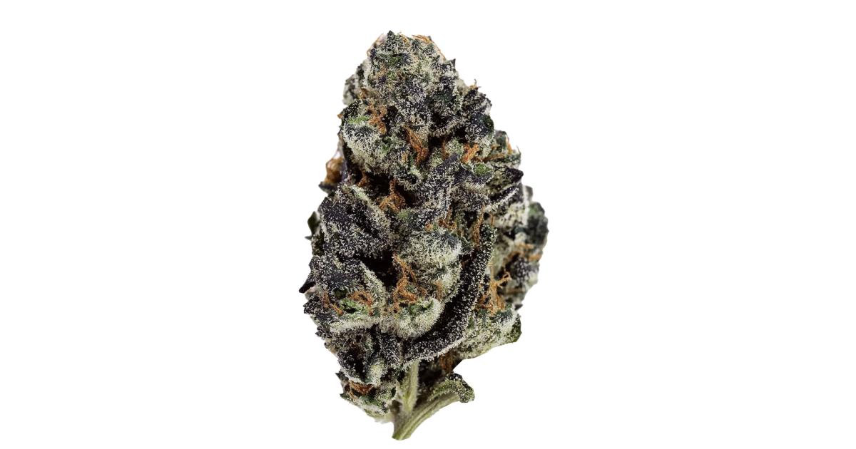 Oreo Blizzy Cannabis Strain Information - GrowDiaries