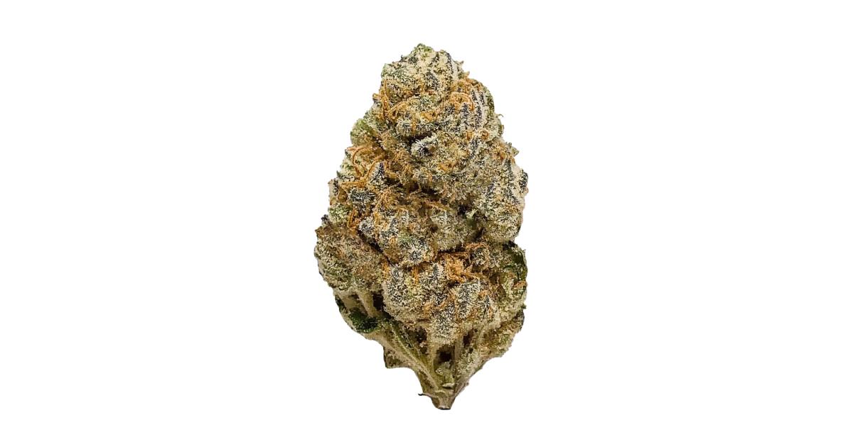 Blueberry Cookies Cannabis Strain Information - GrowDiaries
