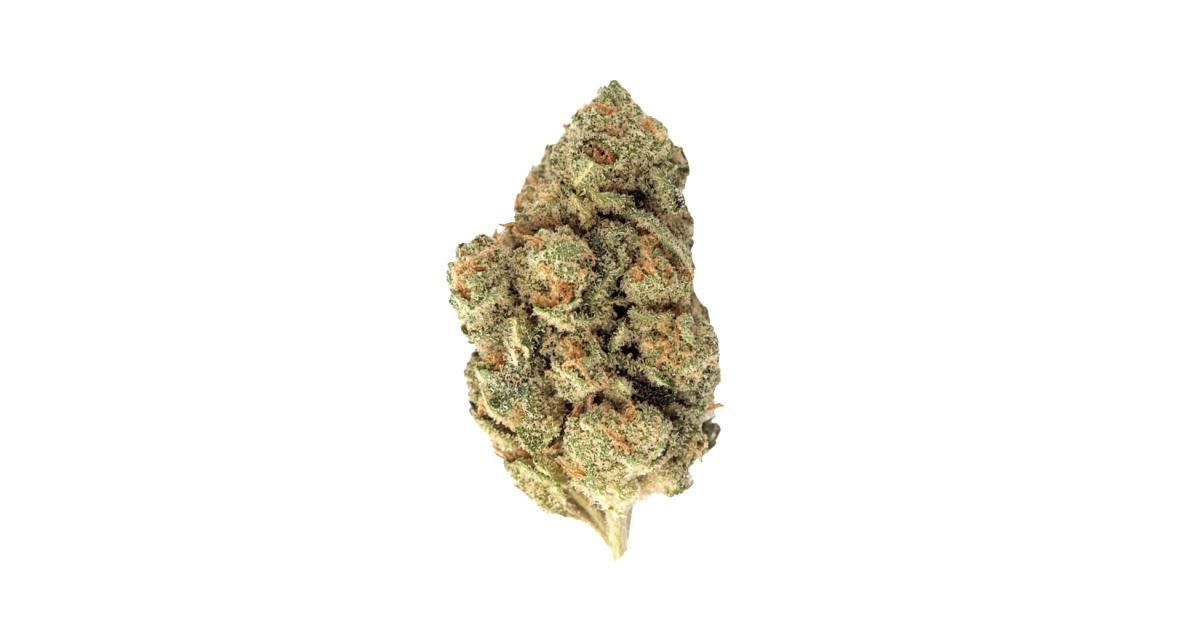 UK Cheese Cannabis Strain Information - GrowDiaries