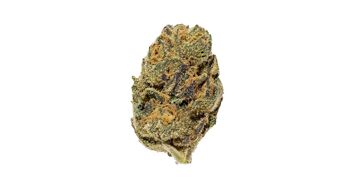 Agent Orange Cannabis Strain Information - GrowDiaries