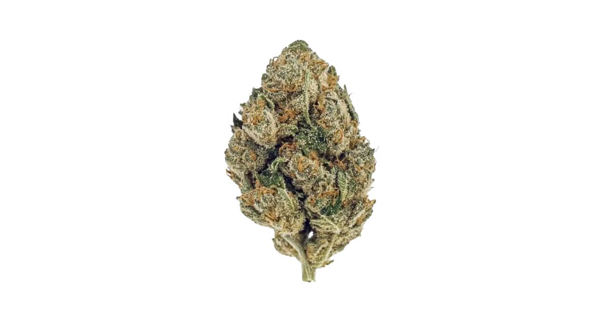 Afternoon Delight Cannabis Strain Information - GrowDiaries