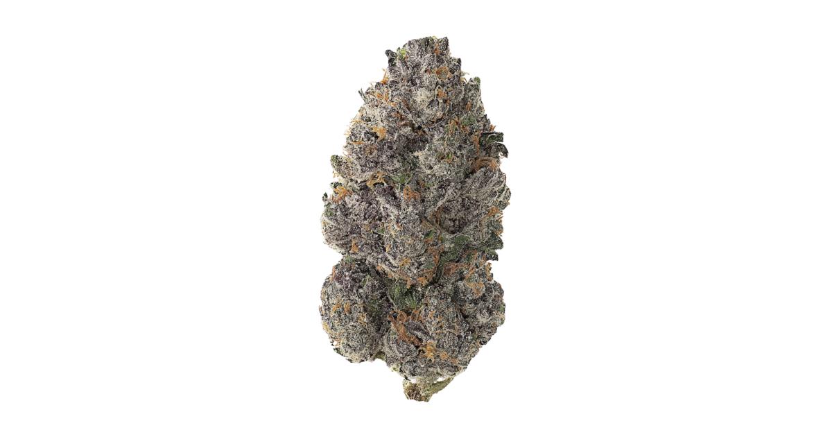Purple Thai Cannabis Strain Information - GrowDiaries