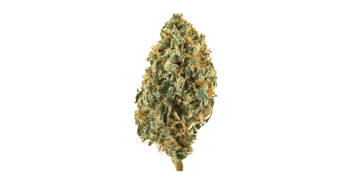 Lemon Cream Cannabis Strain Information - GrowDiaries