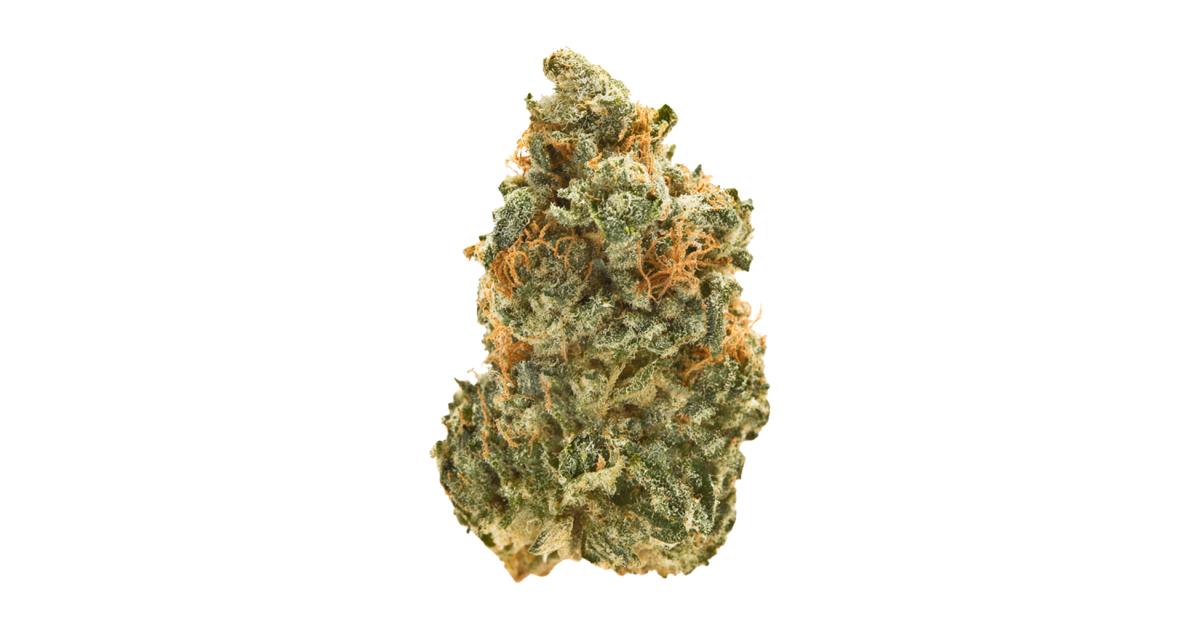 Chem 91 Cannabis Strain Information - GrowDiaries