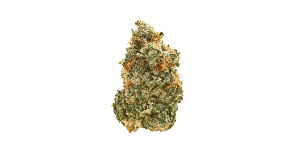 Chem 91 Cannabis Strain Diaries - GrowDiaries