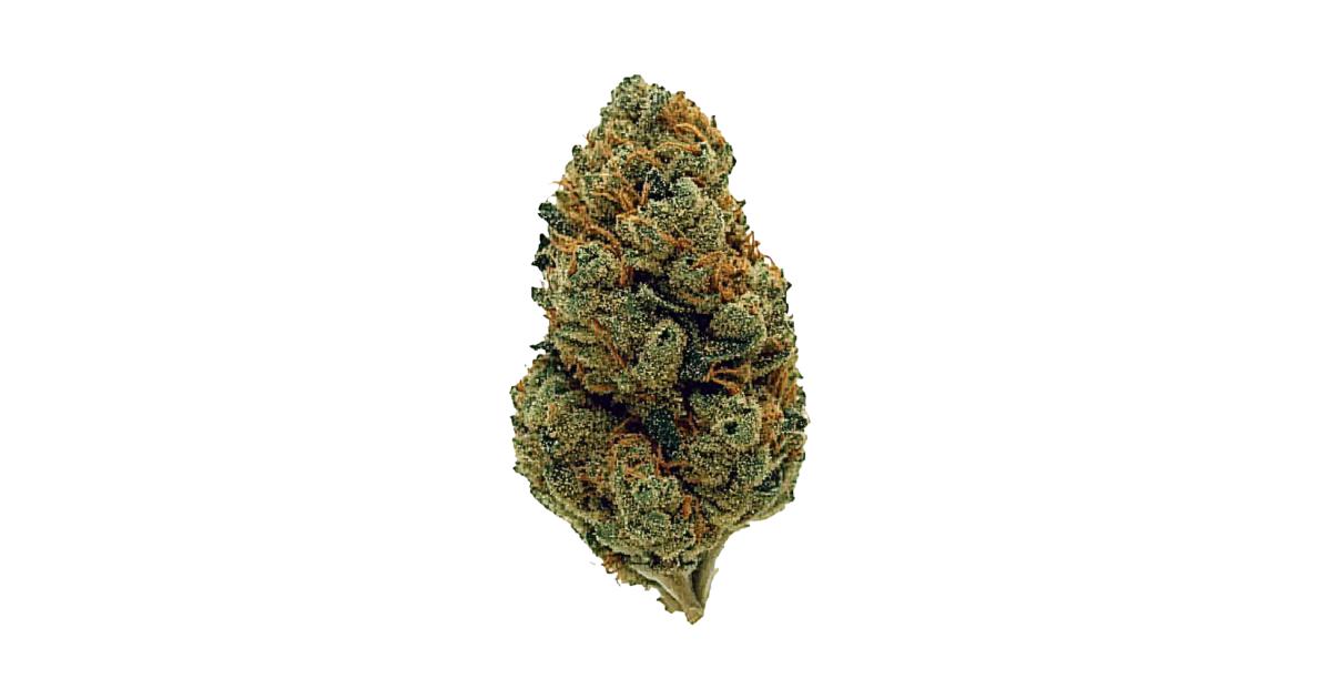 Strawberry Gary Cannabis Strain Information - GrowDiaries