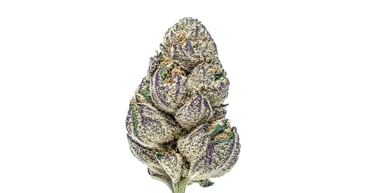 Modified Bananas Cannabis Strain Information - GrowDiaries