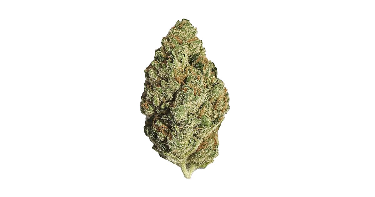 Lemon Drop Cannabis Strain Information - GrowDiaries