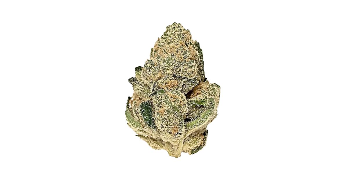 Cherry OG Cannabis Strain Information - GrowDiaries