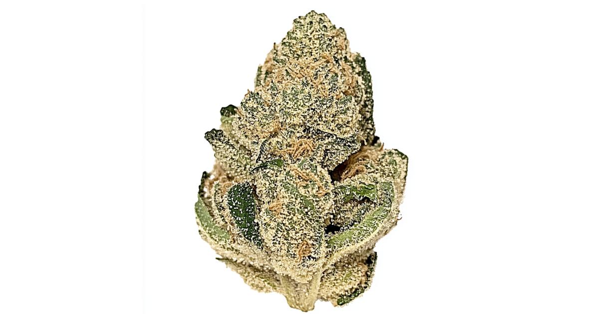 Cherry OG Cannabis Strain Products - GrowDiaries