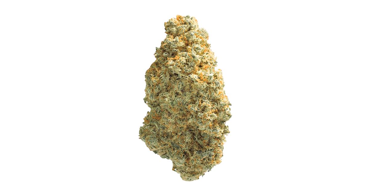 Alien Dawg Cannabis Strain Information - GrowDiaries