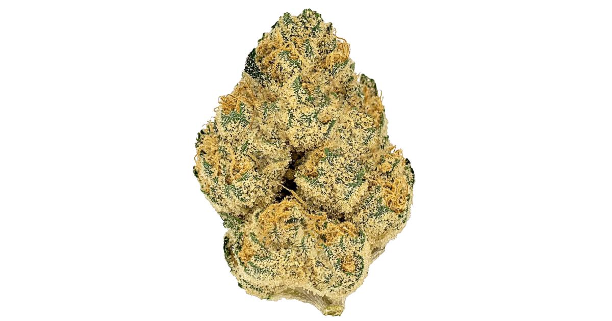 Funky Charms Cannabis Strain Information - GrowDiaries