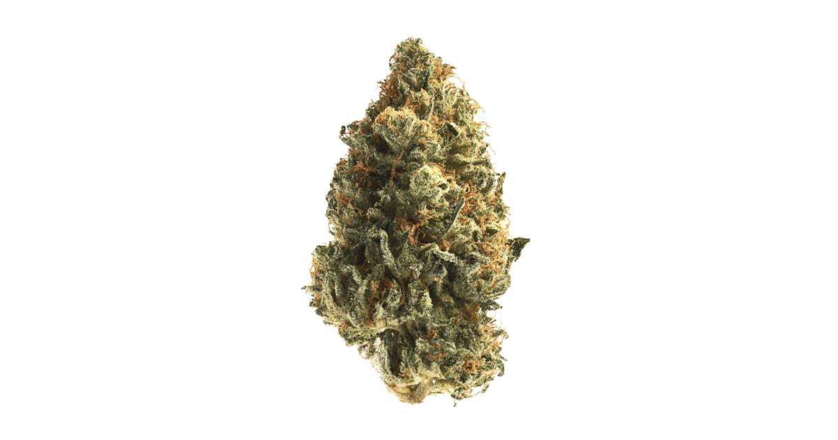 Candy Store Cannabis Strain Information - GrowDiaries