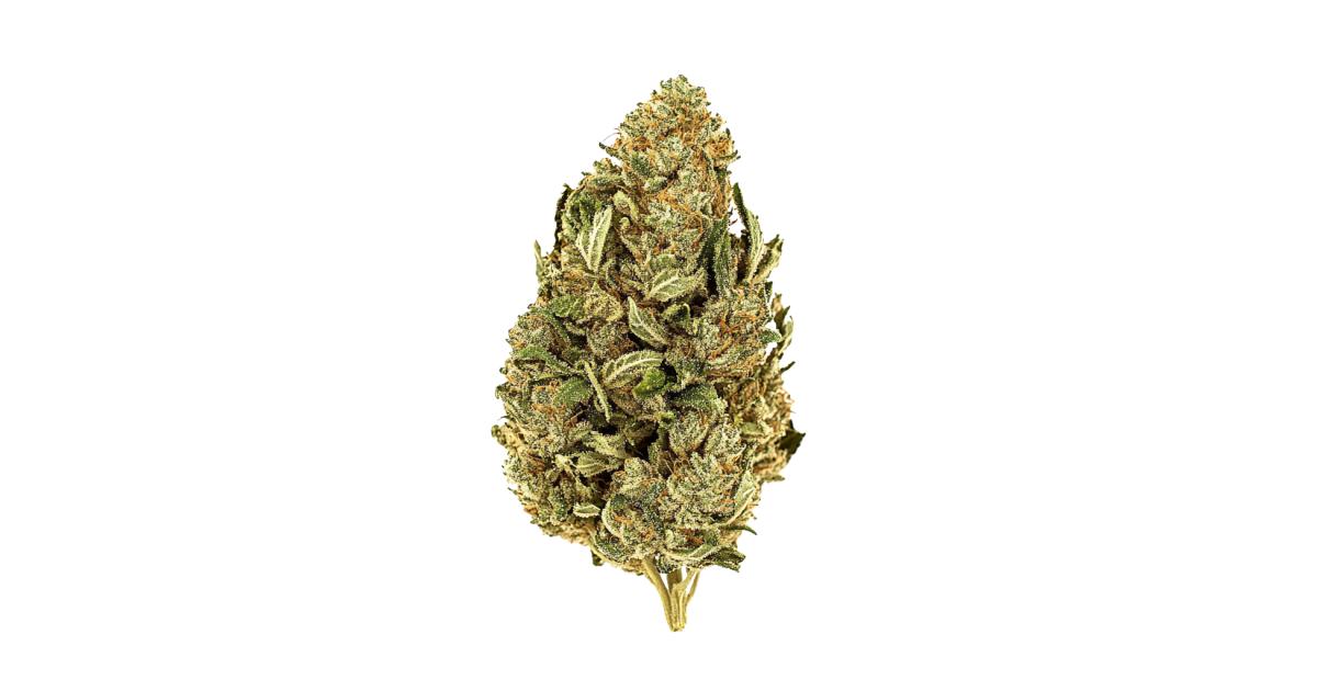 Squintz Cannabis Strain Information - GrowDiaries