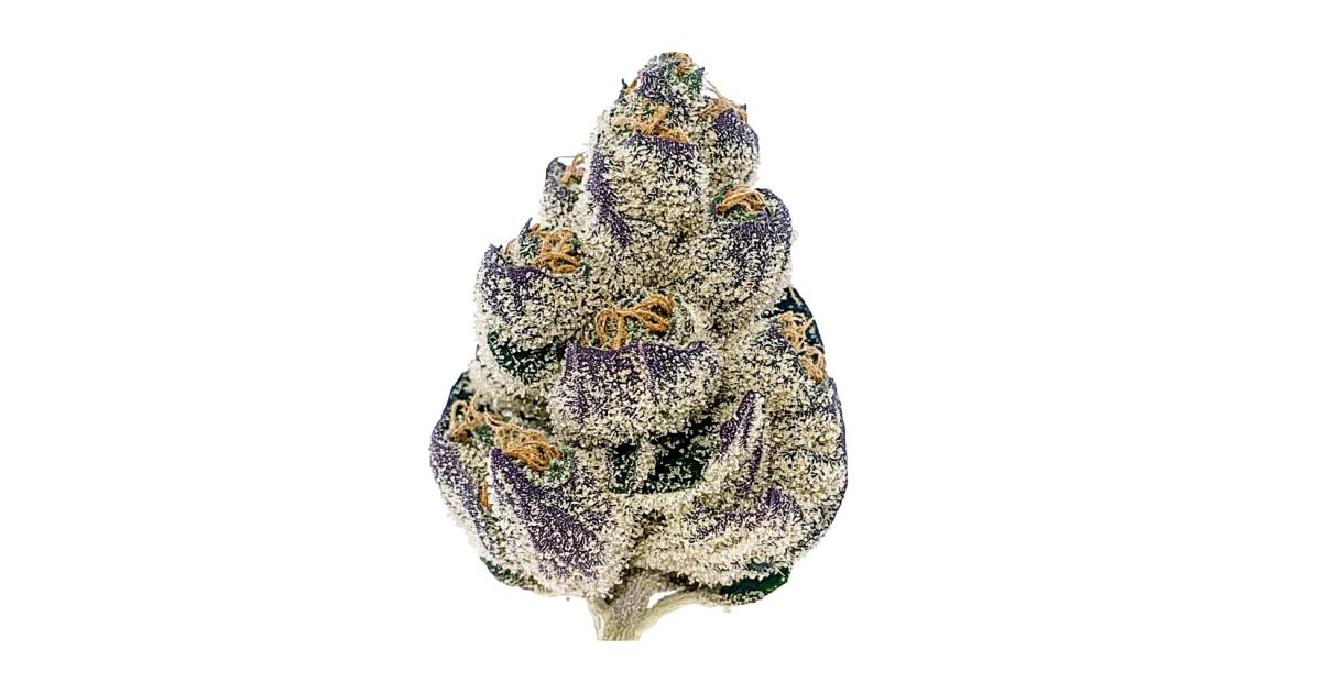Shishkaberry Cannabis Strain Information - GrowDiaries