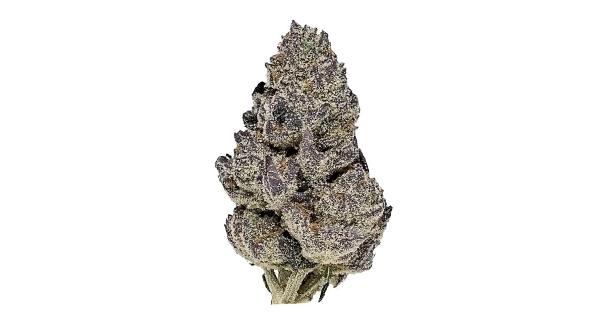 Vice City Cannabis Strain Information - GrowDiaries